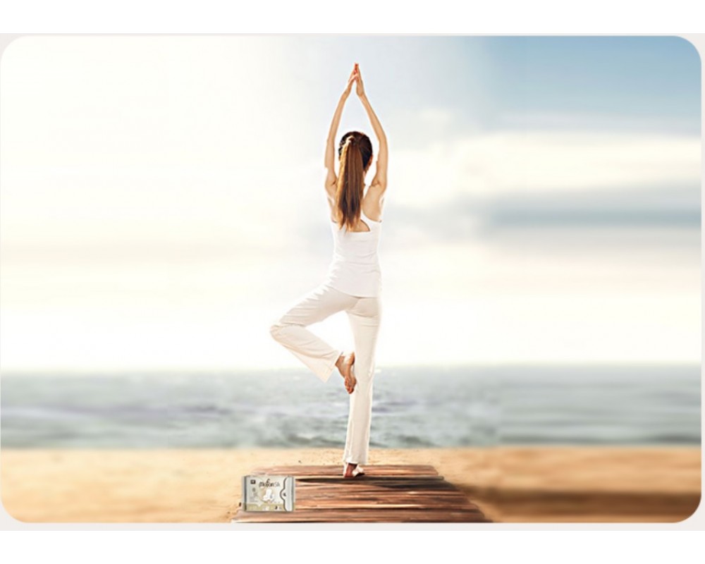 Mofan Women's Silk Pad - Classic winged